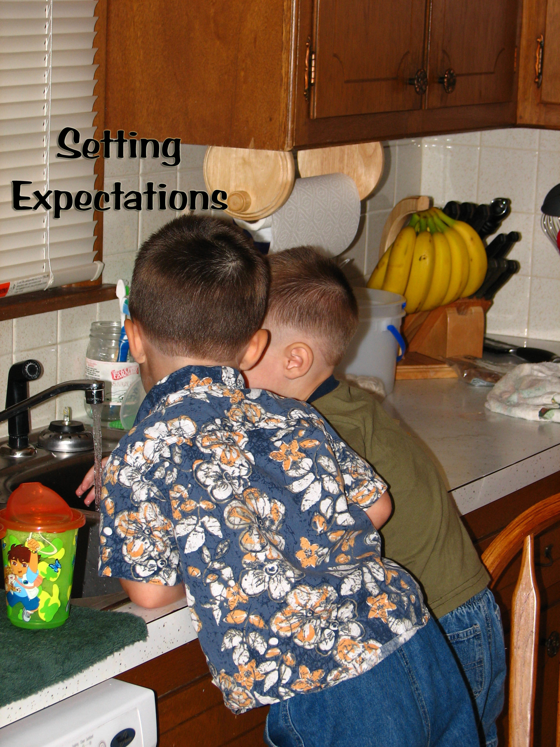 Setting Expectations 4 – My Little Bit of Life